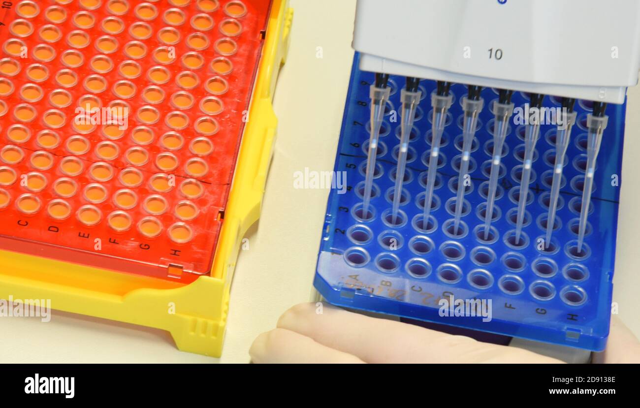 Eva sars Banque de photographies et d’images à haute résolution - Alamy