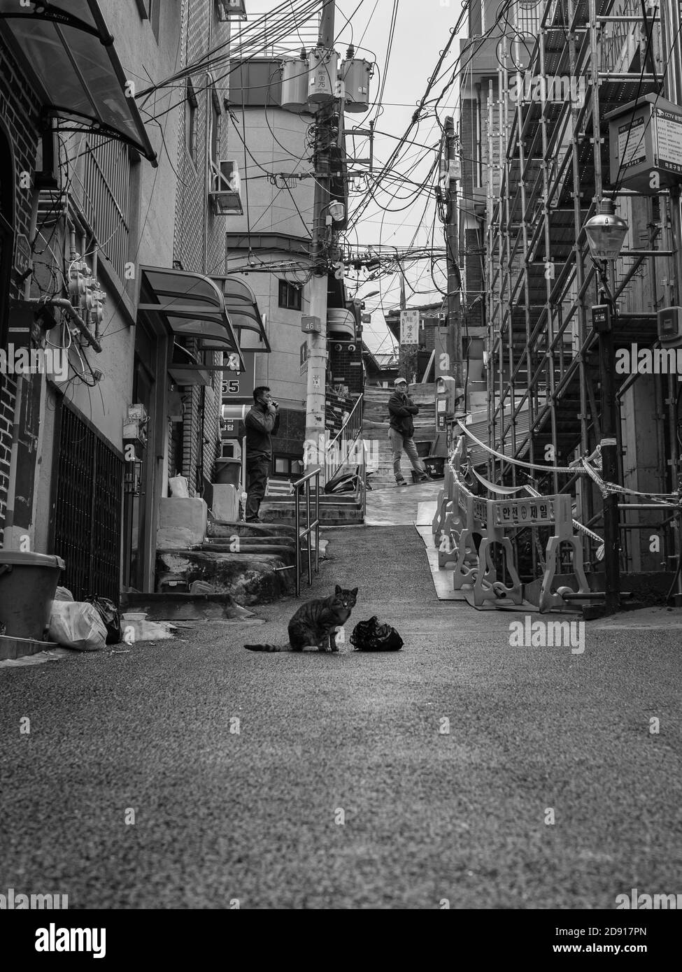 Sentience animale Banque de photographies et d’images à haute ...