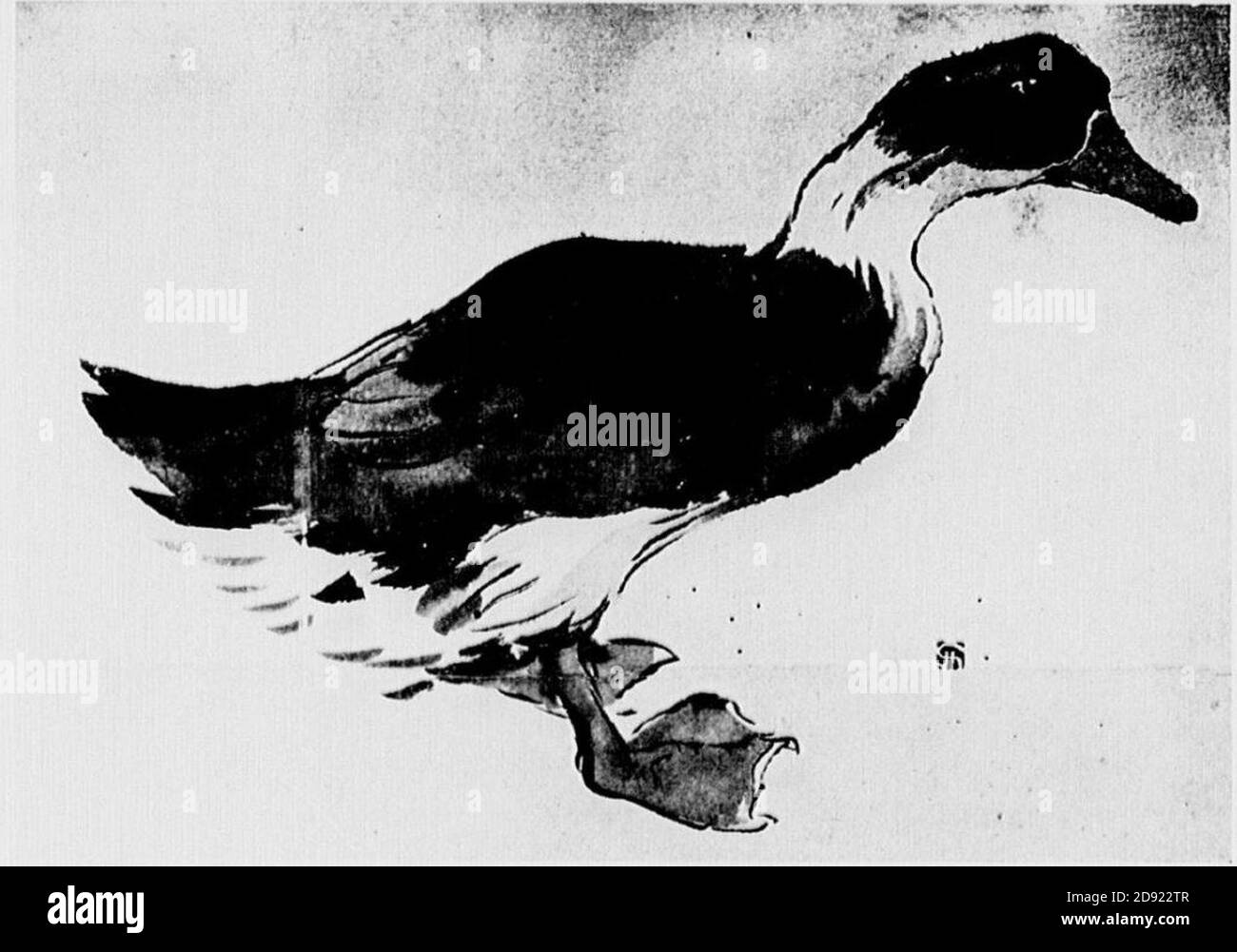 Jules chadel Banque de photographies et d’images à haute résolution - Alamy