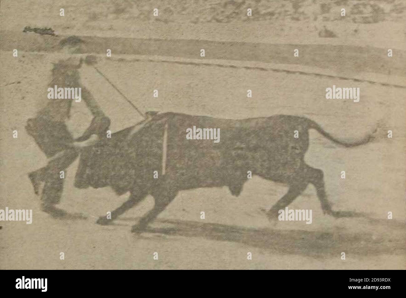 K hito Banque de photographies et d’images à haute résolution - Alamy