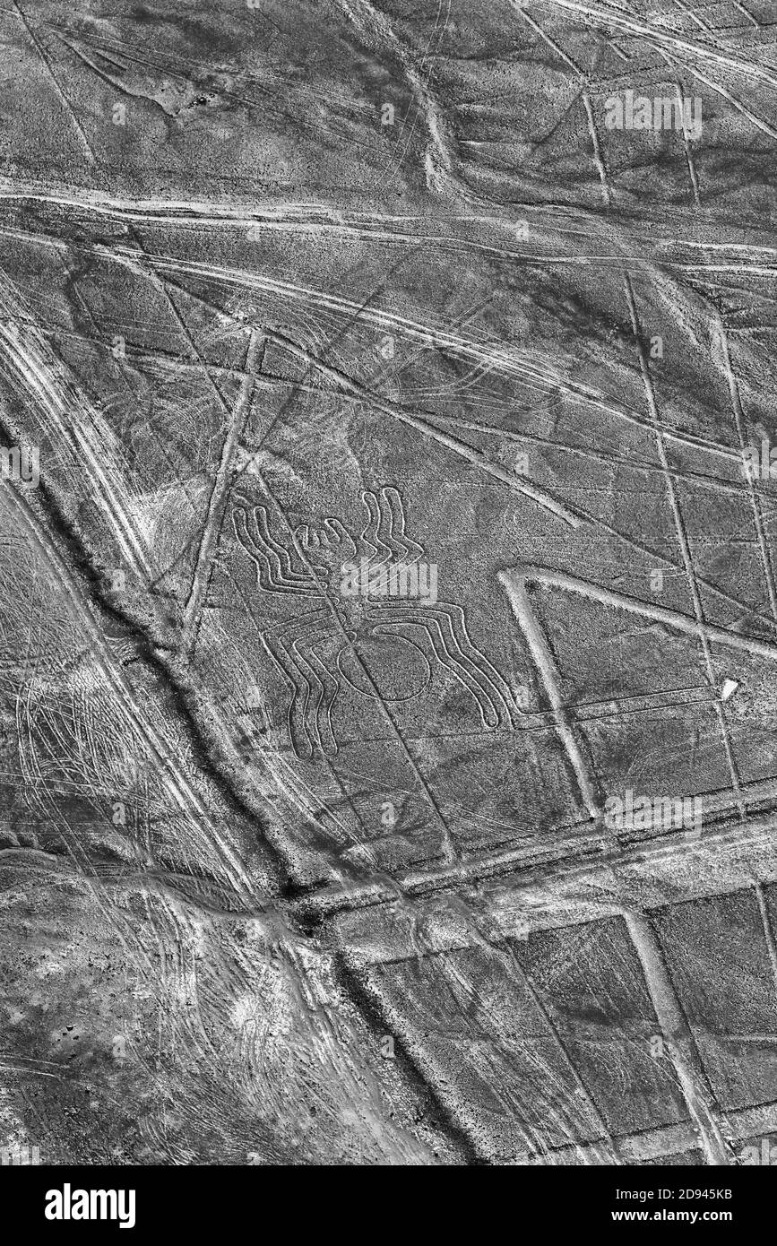 Géoglyphes nazca Banque de photographies et d’images à haute résolution ...