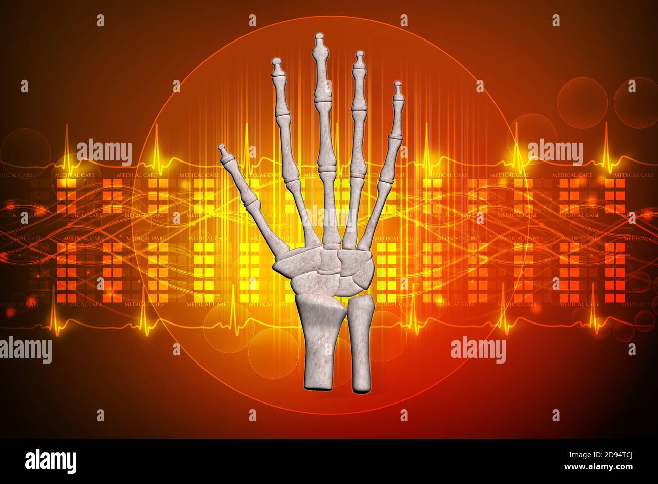 Os du poignet humain Banque de photographies et d’images à haute ...
