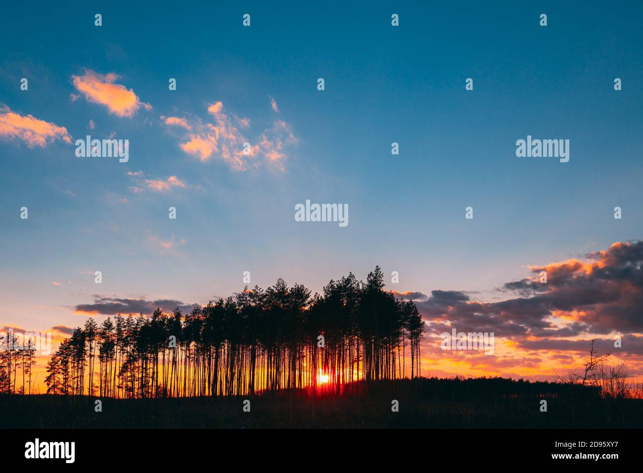 Soleil Du Printemps Soir Banque d'image et photos - Alamy