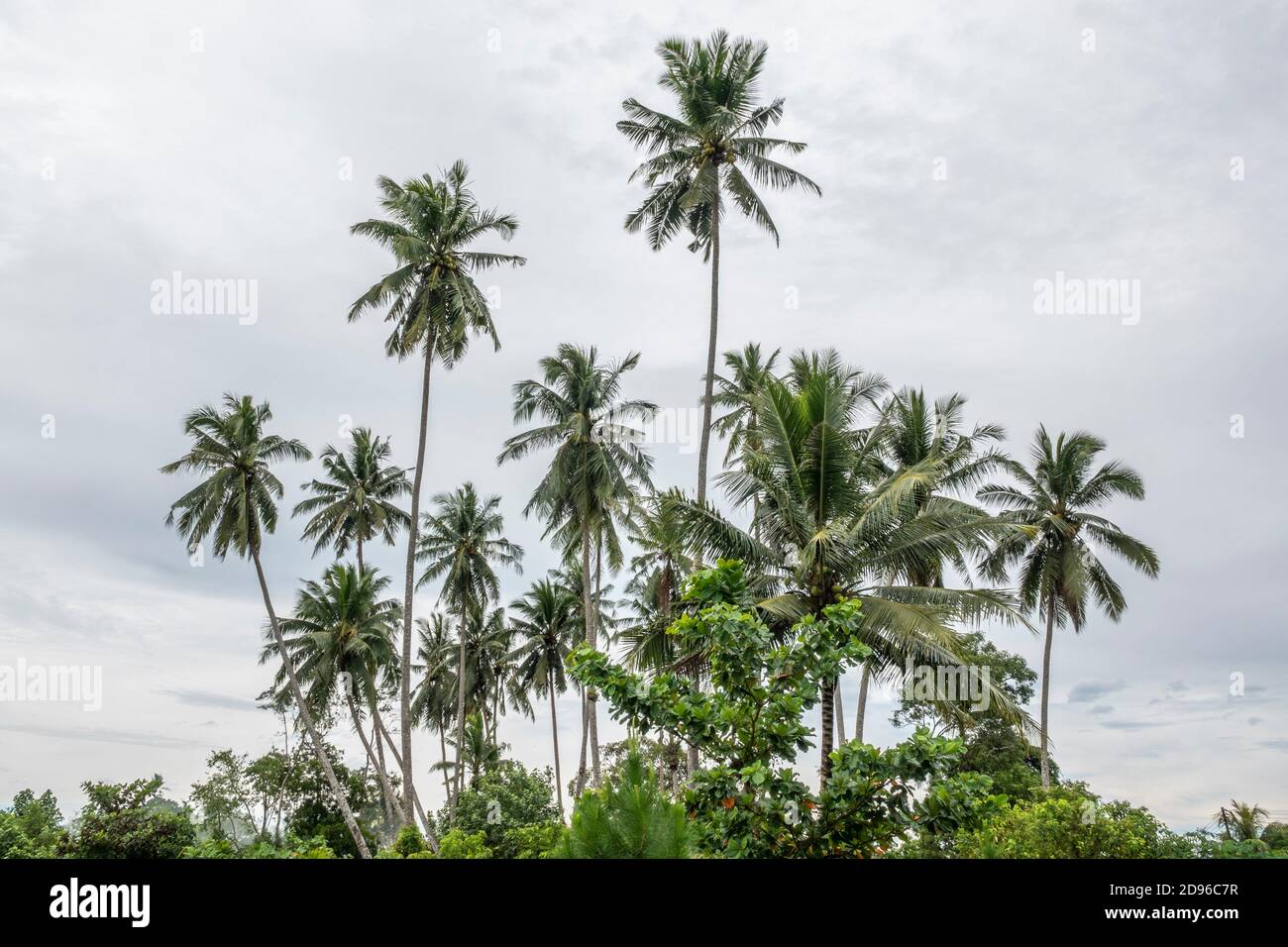 Plage de rambungan Banque de photographies et d’images à haute ...