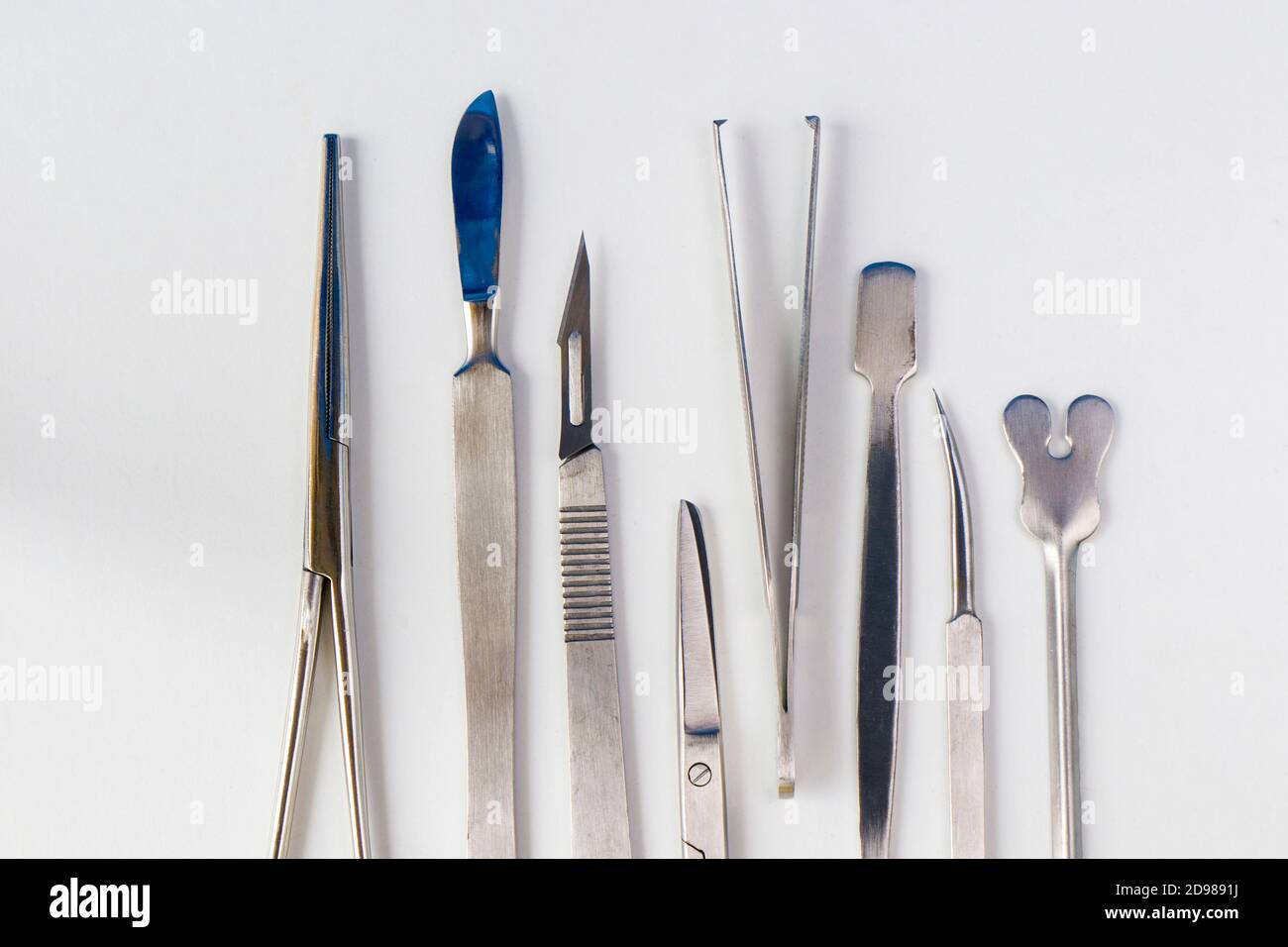 Kit de dissection - Outils en acier inoxydable pour les étudiants en ...