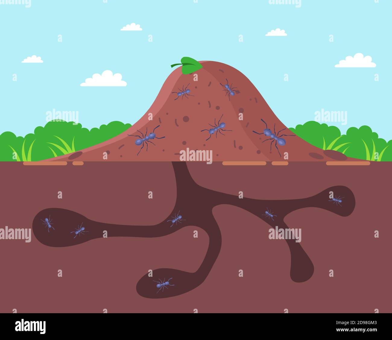 anthill extérieur et souterrain. une maison pour les fourmis ...