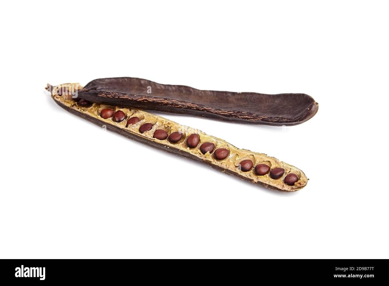 Gousse de caroube Banque de photographies et d’images à haute ...
