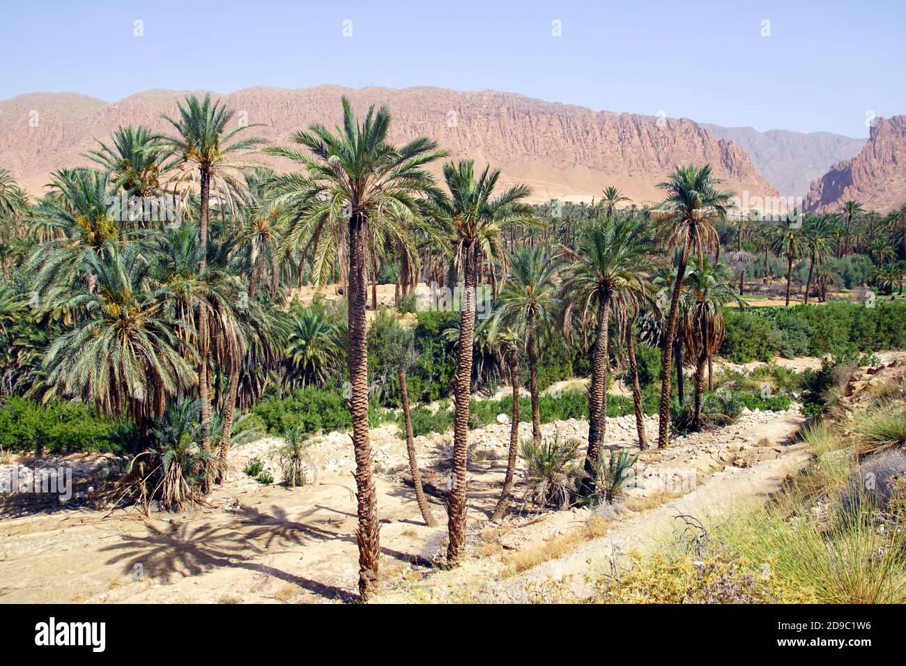 El kantara algerie Banque de photographies et d’images à haute résolution - Alamy