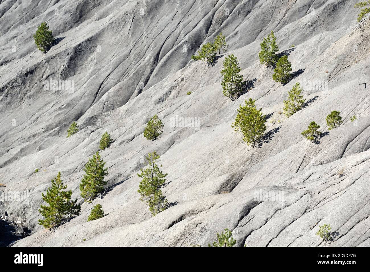 Col de corobin Banque de photographies et d’images à haute résolution ...