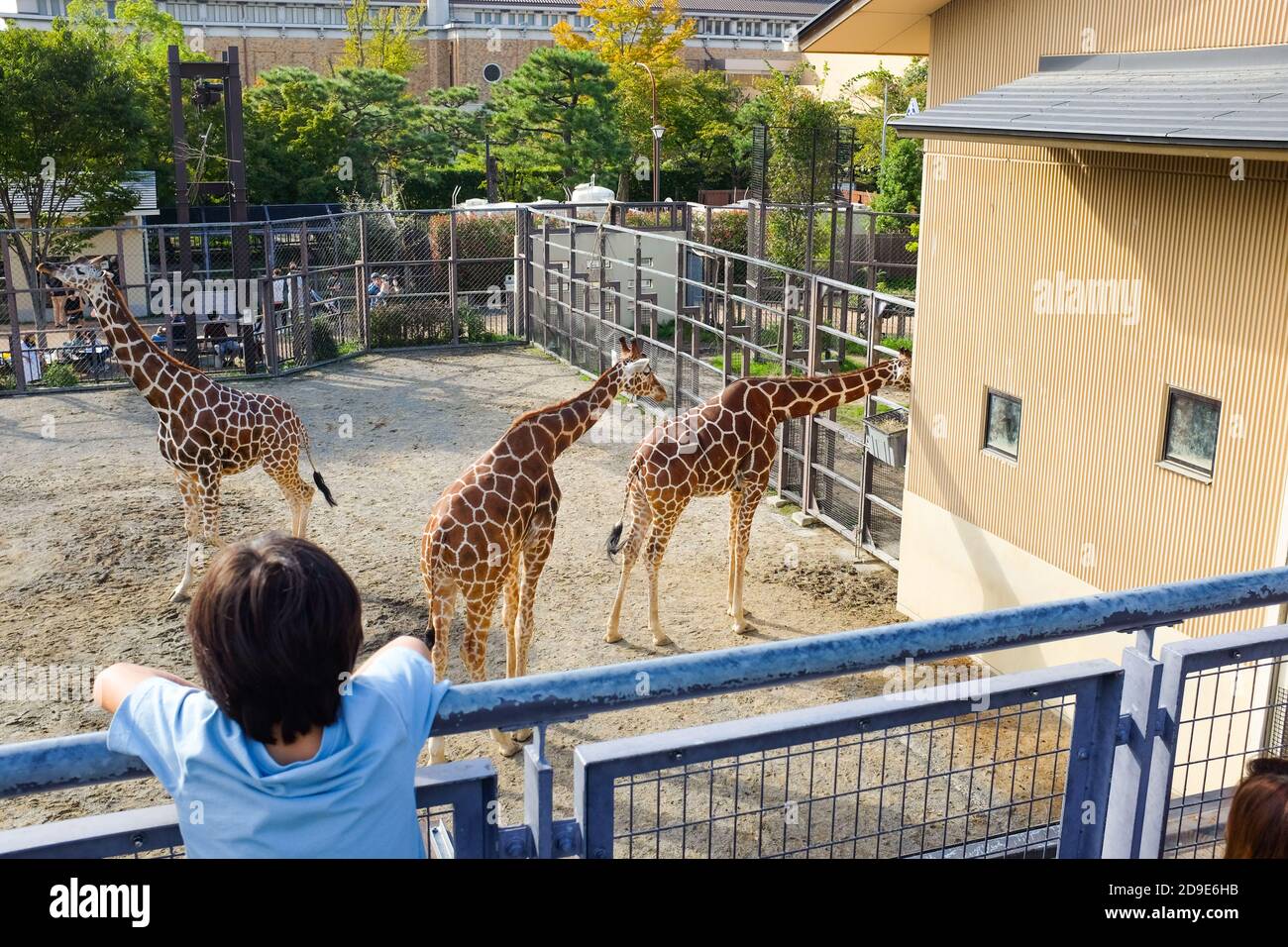 Zoo de kyoto Banque de photographies et d’images à haute résolution - Alamy