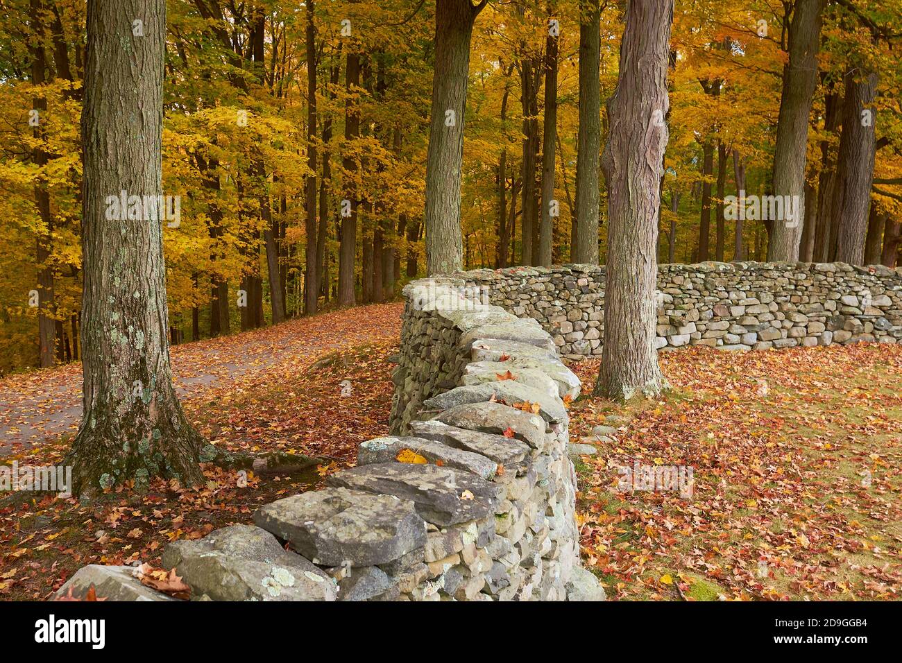 Le mur de roche d'Andy Goldsworthy serpente à travers une ligne d ...