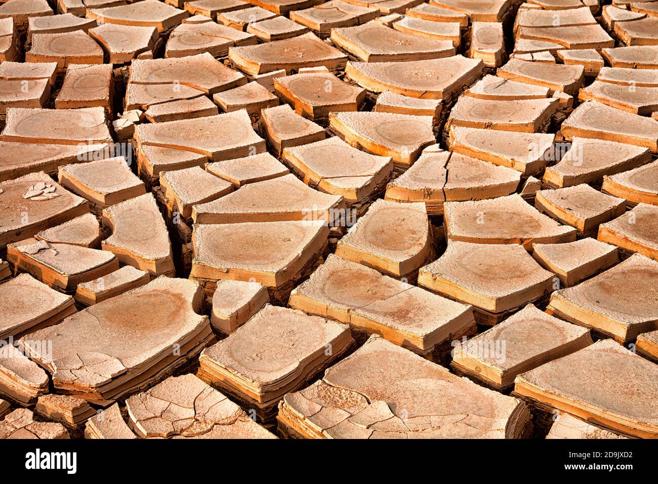 Désert. De belles fissures dans le sol. Texture, fissure profonde ...