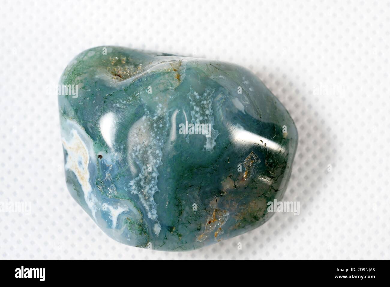 Agate d'arbre Banque de photographies et d’images à haute résolution ...