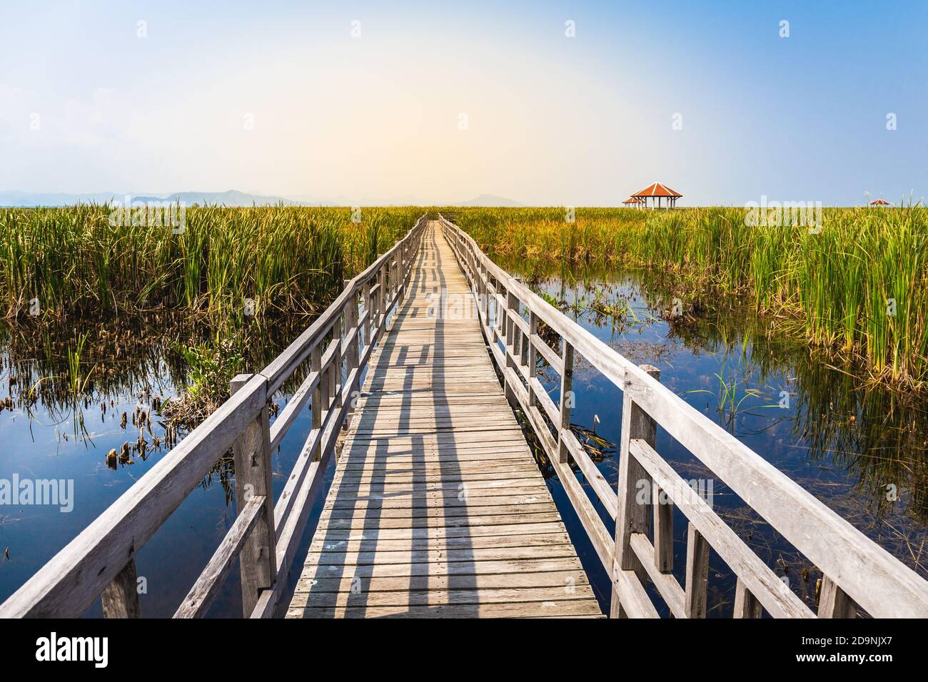 Magnifique paysage de pont en bois de ronde en marécage à pelouse avec ...