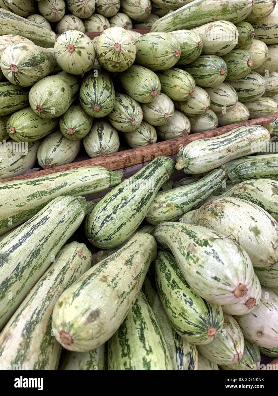 Courgettes italiennes Banque de photographies et d’images à haute ...