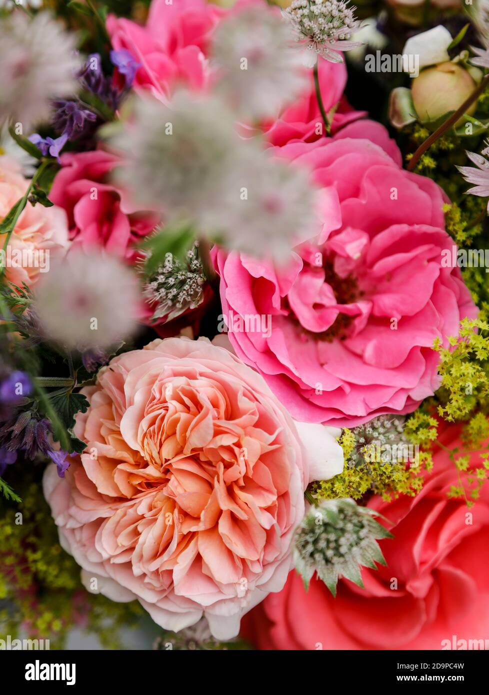 Bouquet naturel de fleurs de jardin Banque de photographies et d’images ...