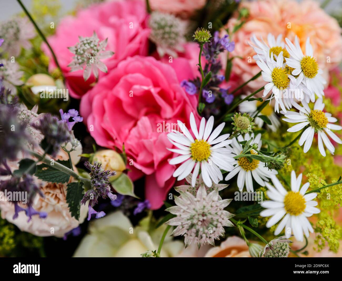 Bouquet naturel de fleurs de jardin Banque de photographies et d’images ...