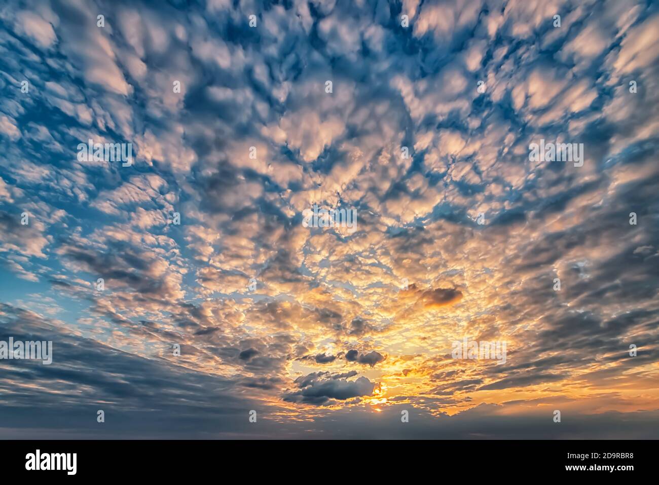 Photoshop texture Banque de photographies et d’images à haute ...