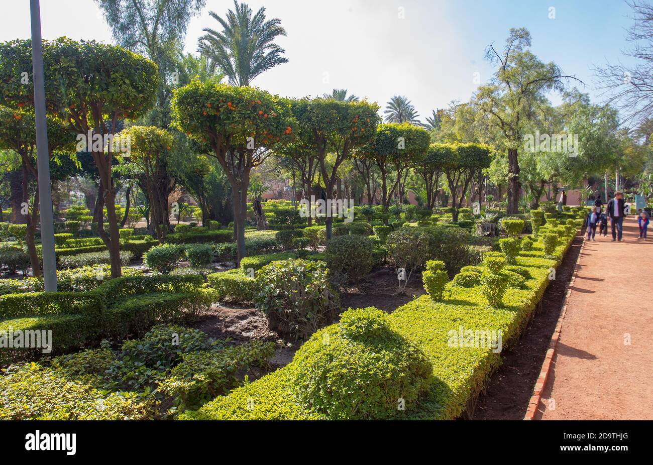 Cyber Park à Marrakech avec arbres tanger. Beauté de la nature au Maroc ...