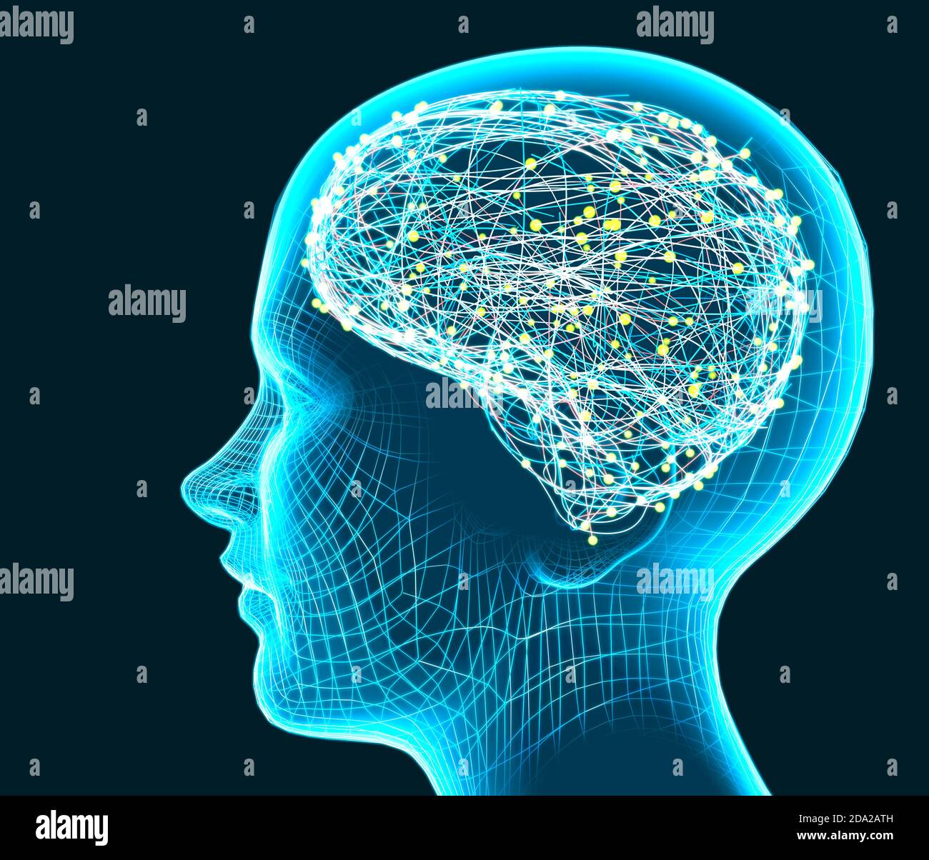 Neurologie, philosophie : connexions, développement de la pensée et de ...
