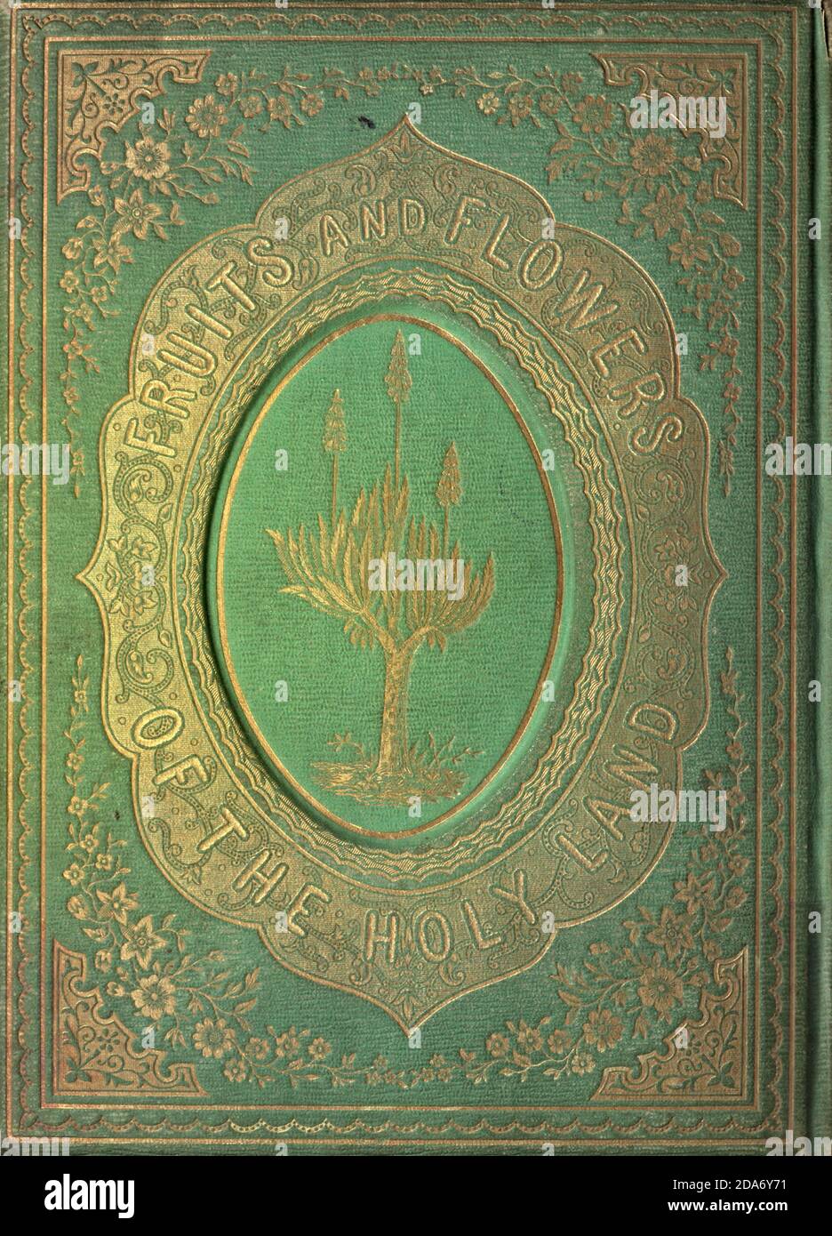 Dessins botaniques anciens Banque de photographies et d’images à haute ...