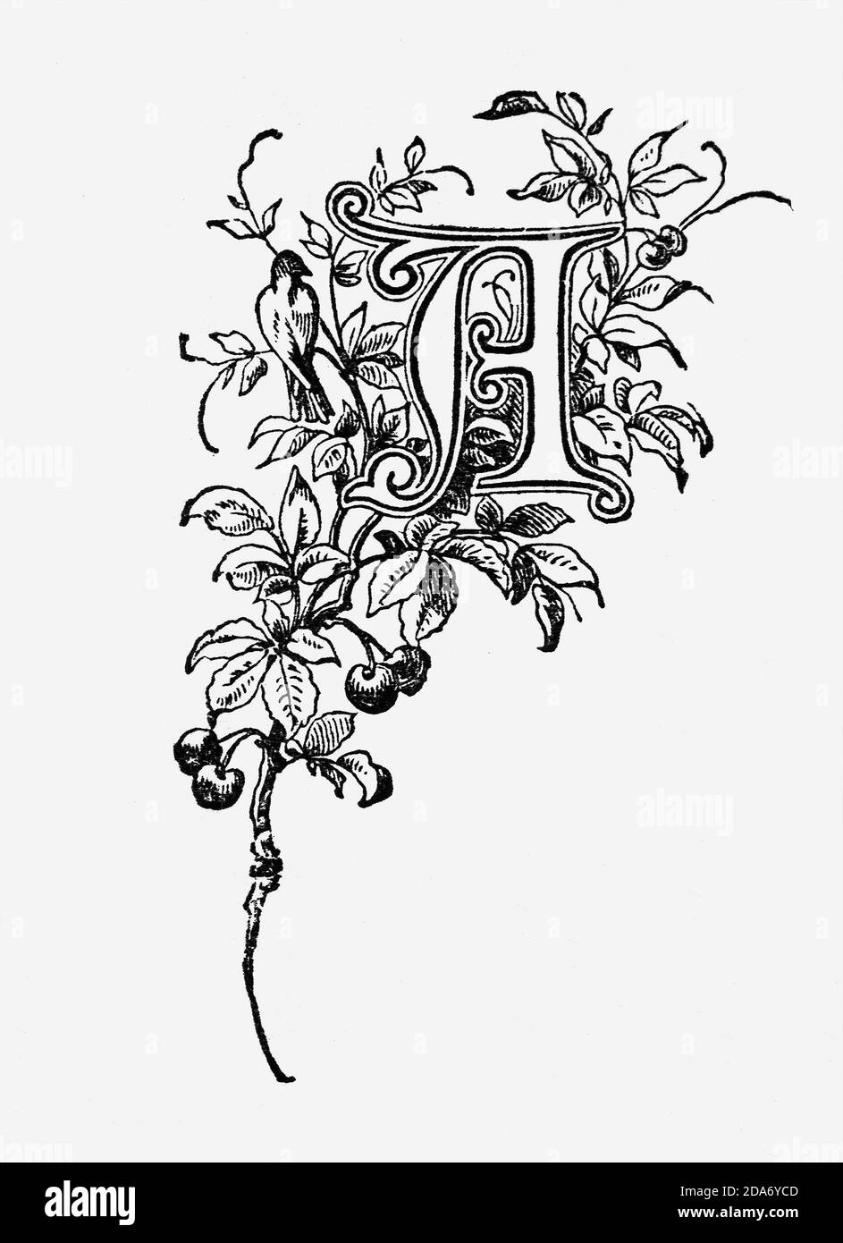 Pictorial Alphabet Banque d'image et photos - Alamy