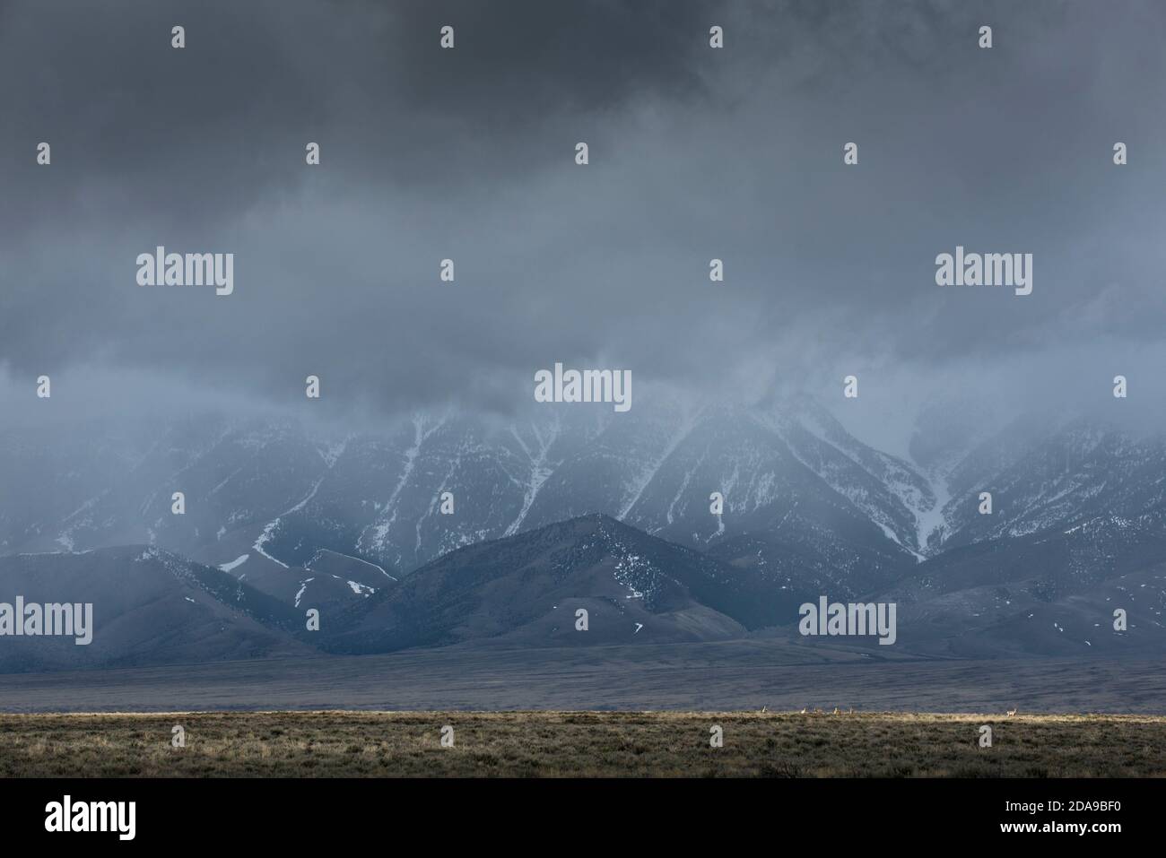 Lemhi valley Banque de photographies et d’images à haute résolution - Alamy