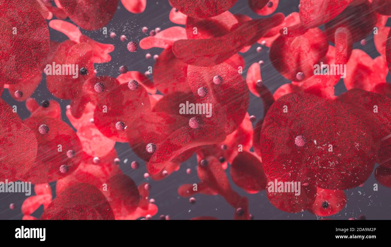 Globules rouges et lymphocytes T flottants dans les vaisseaux sanguins ...