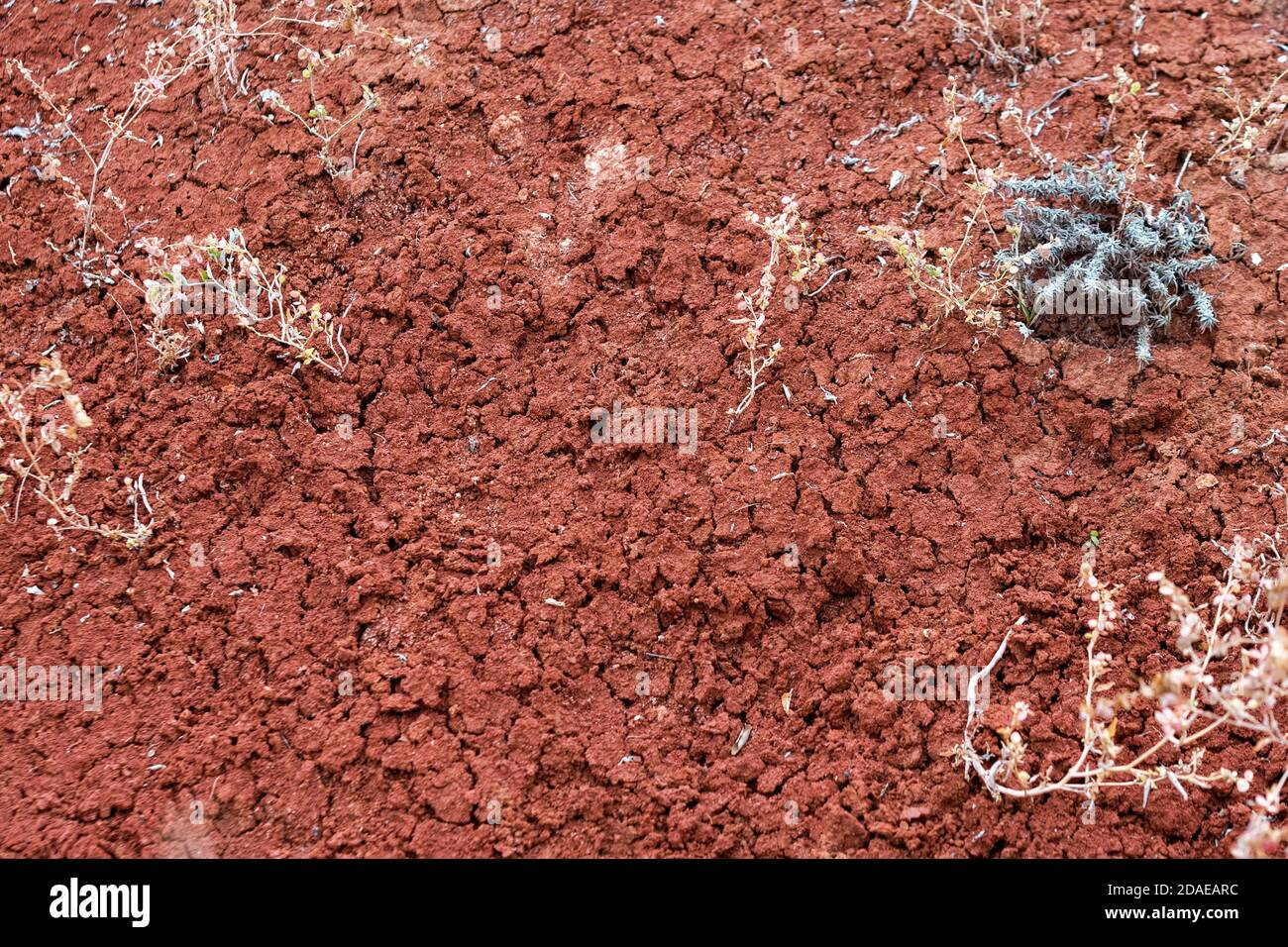 Sol de la Laterite tropicale ou texture de la terre rouge. Fond de ...