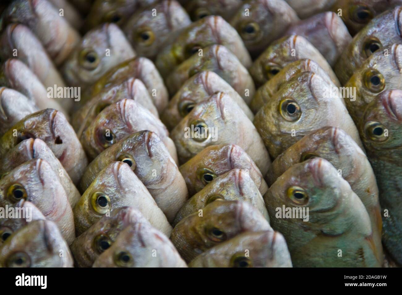 Marché poisson afrique Banque de photographies et d’images à haute ...