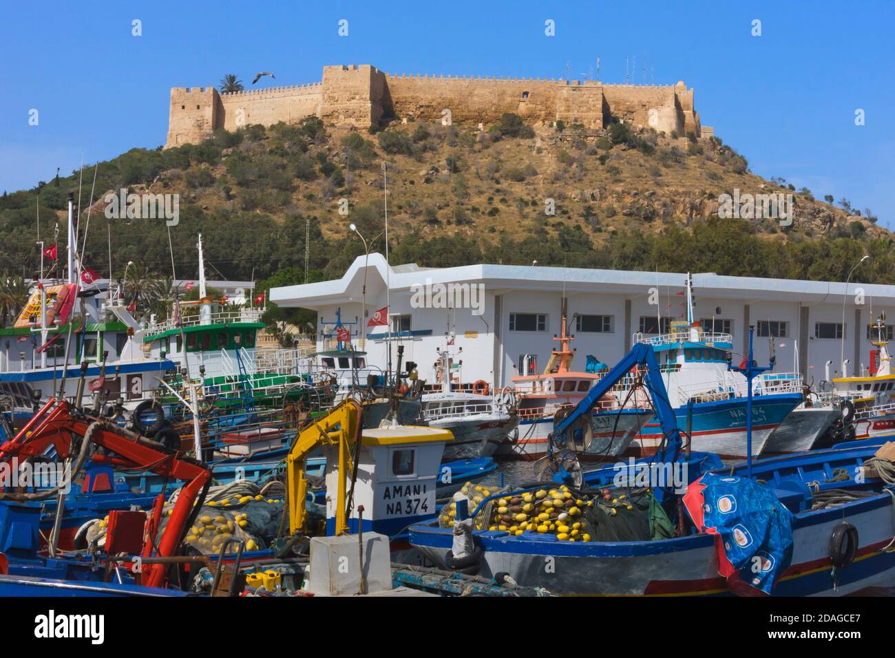 Forteresse de Kelibia avec port, Cap bon, Tunisie Photo Stock - Alamy