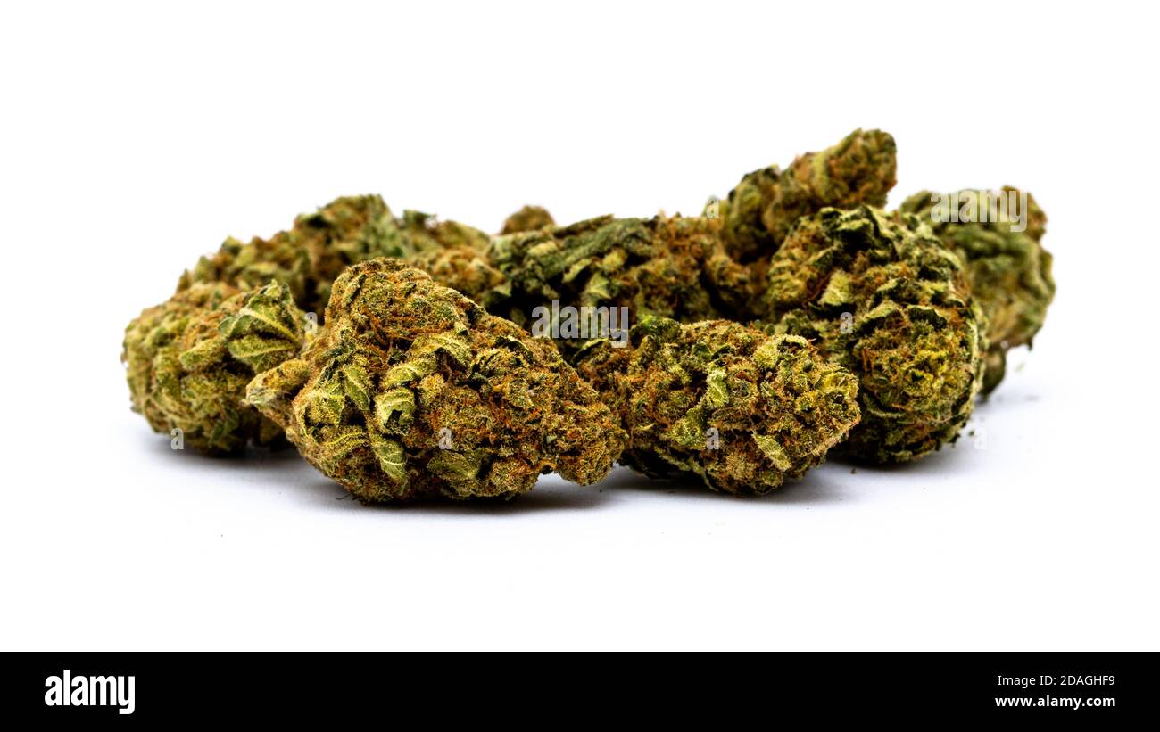 Herbe De Cbd Banque d'image et photos - Alamy