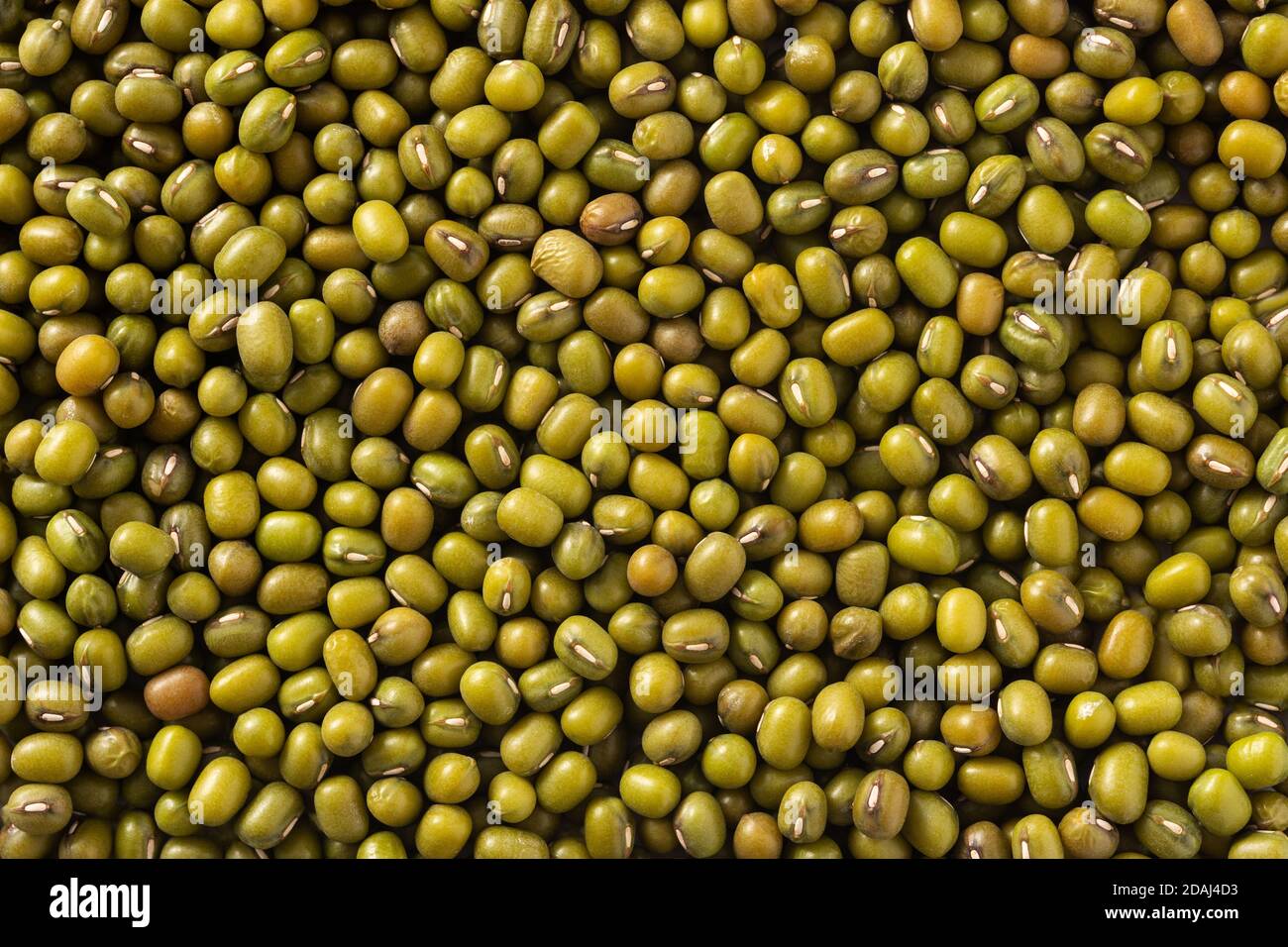 Texture de soja Banque de photographies et d’images à haute résolution ...