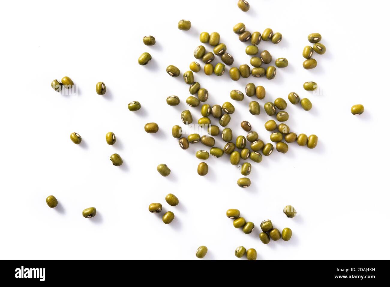 Soya germ Banque de photographies et d’images à haute résolution - Alamy