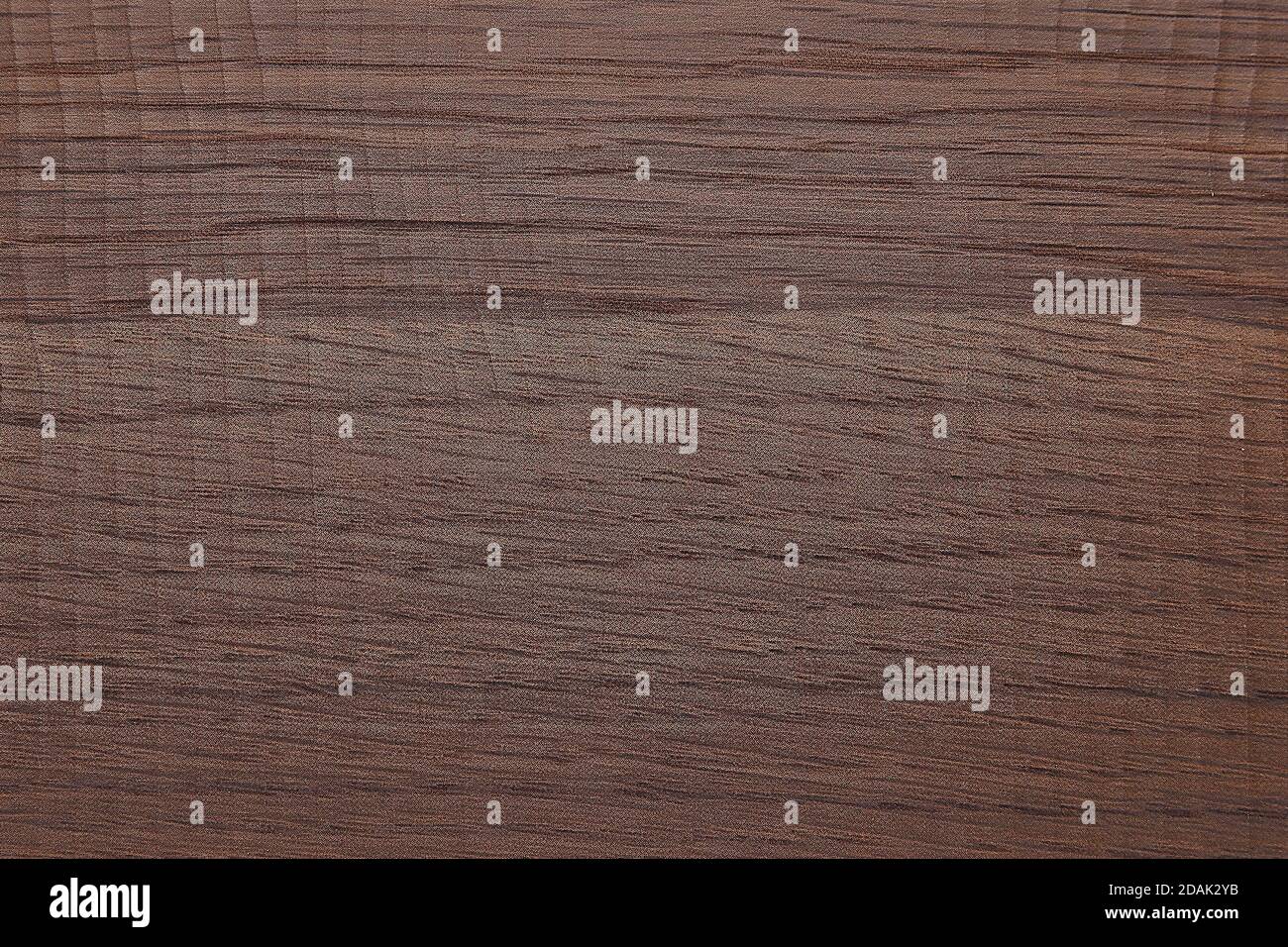 Walnut veneer texture Banque de photographies et d’images à haute ...