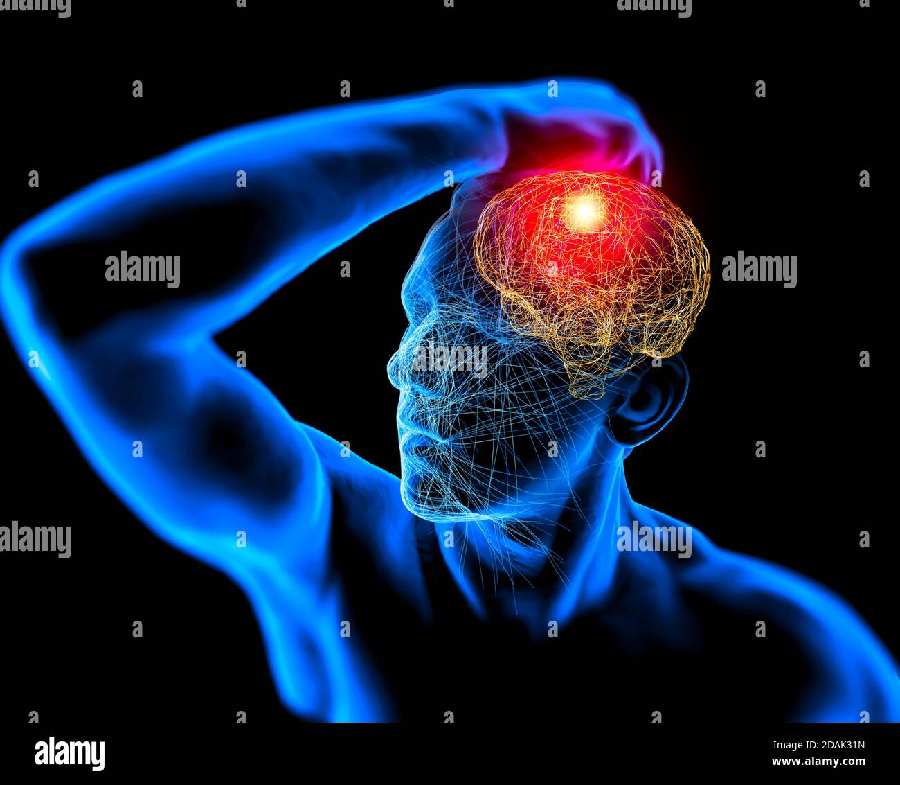 Neurologie, philosophie : connexions, développement de la pensée et de ...
