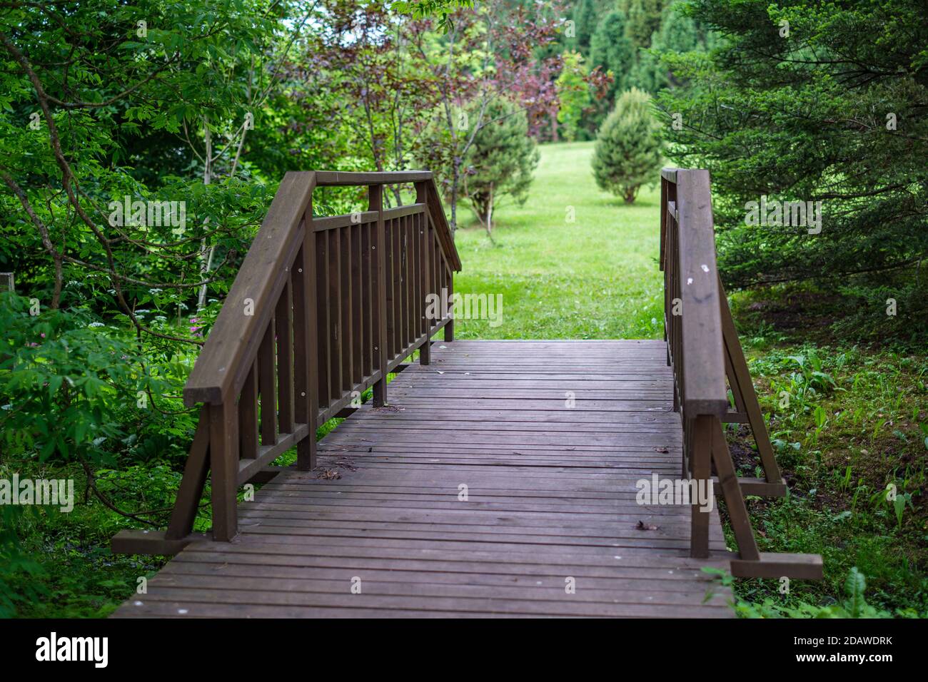 sentier de promenade en bois dans la forêt verte d'automne avec ...