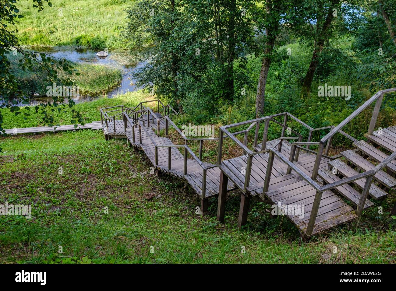 sentier de promenade en bois dans la forêt verte d'automne avec ...
