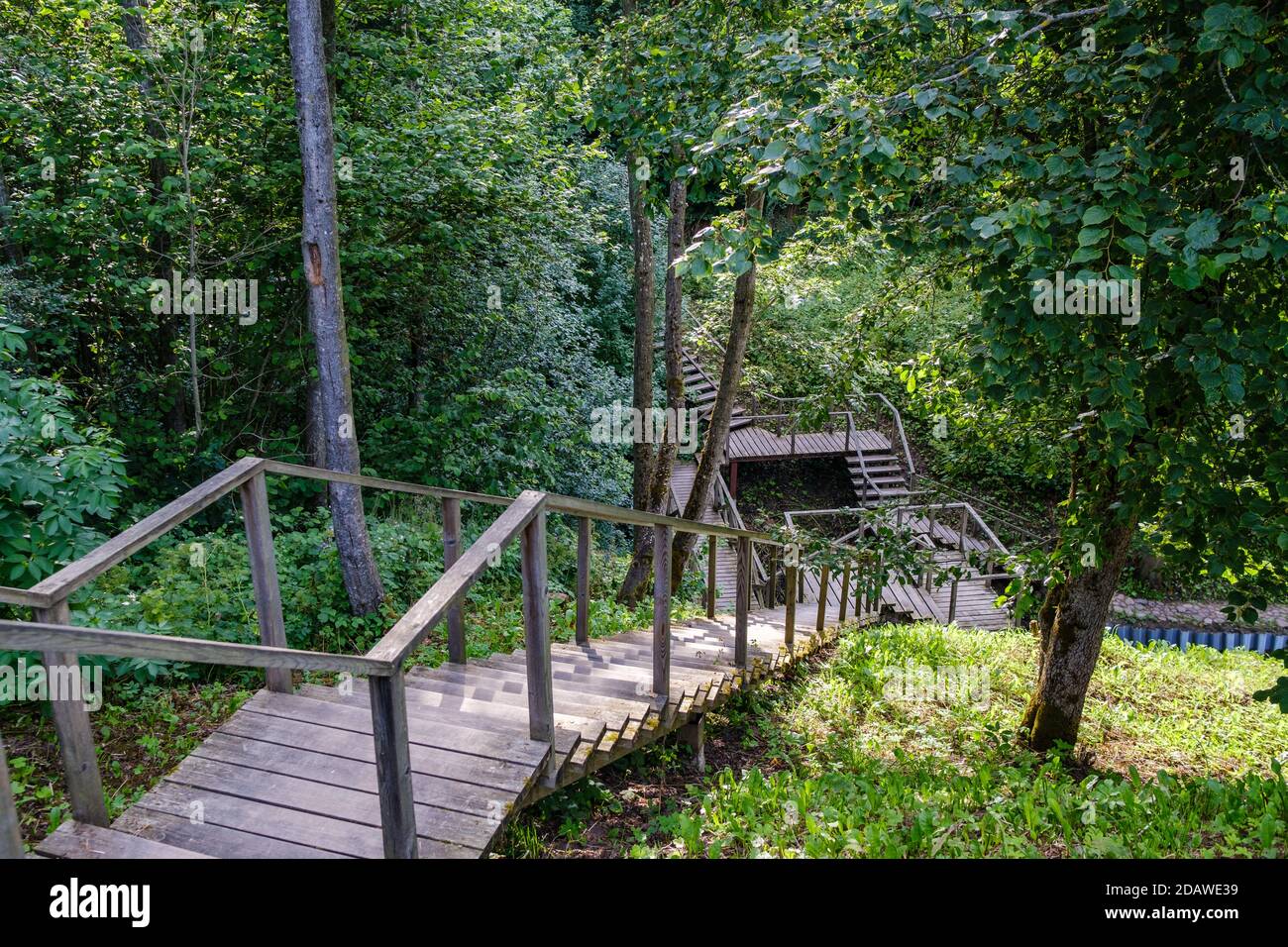 sentier de promenade en bois dans la forêt verte d'automne avec ...