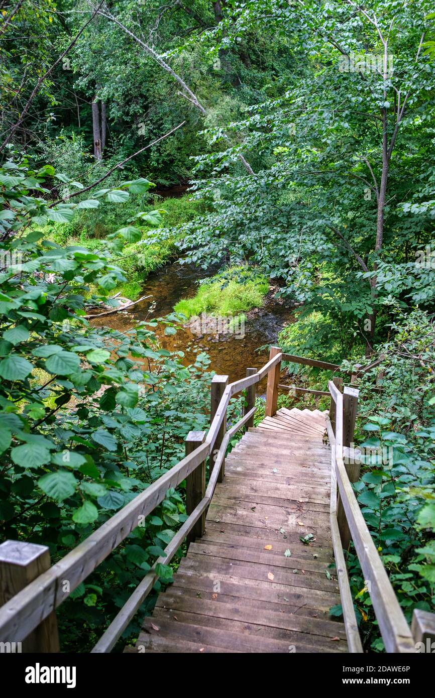 sentier de promenade en bois dans la forêt verte d'automne avec ...