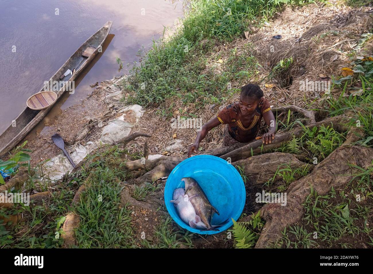 Une femme pêche des poissons-chats du fleuve Congo à Kisangani ...