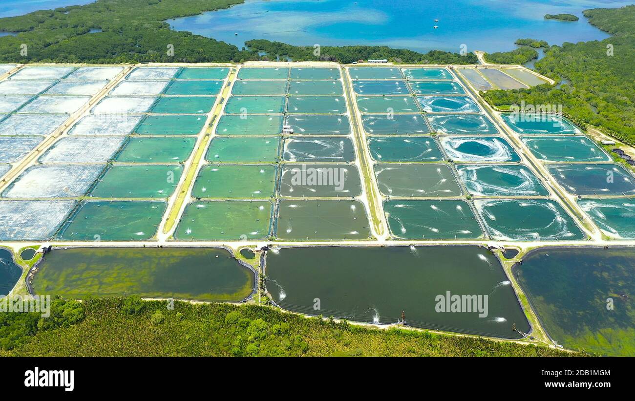 Pisciculture Bassins Banque d'image et photos - Alamy