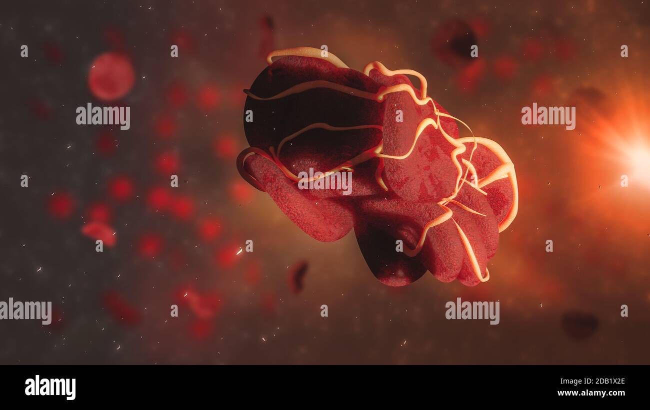 Caillot sanguine Banque de photographies et d’images à haute résolution ...