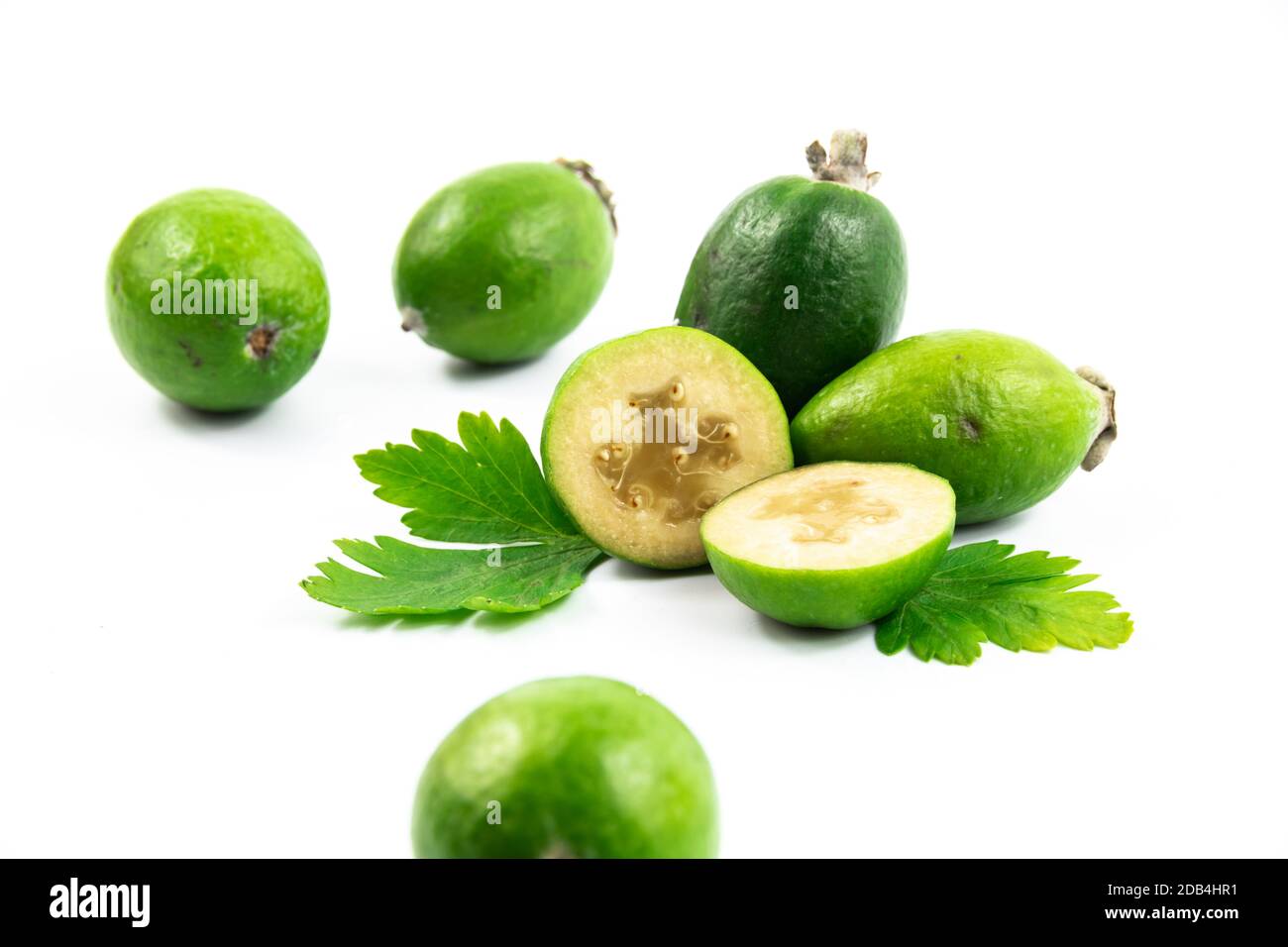 Feijoa fruit tropical ananas guava Acca sellowiana sur fond blanc photo ...