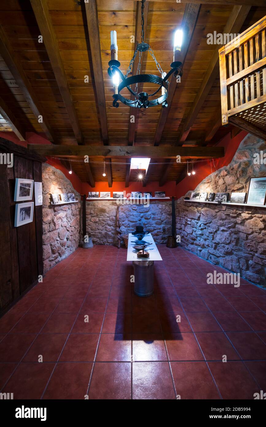 Queso picon bejes tresviso fromage picon bejes tresviso Banque de ...