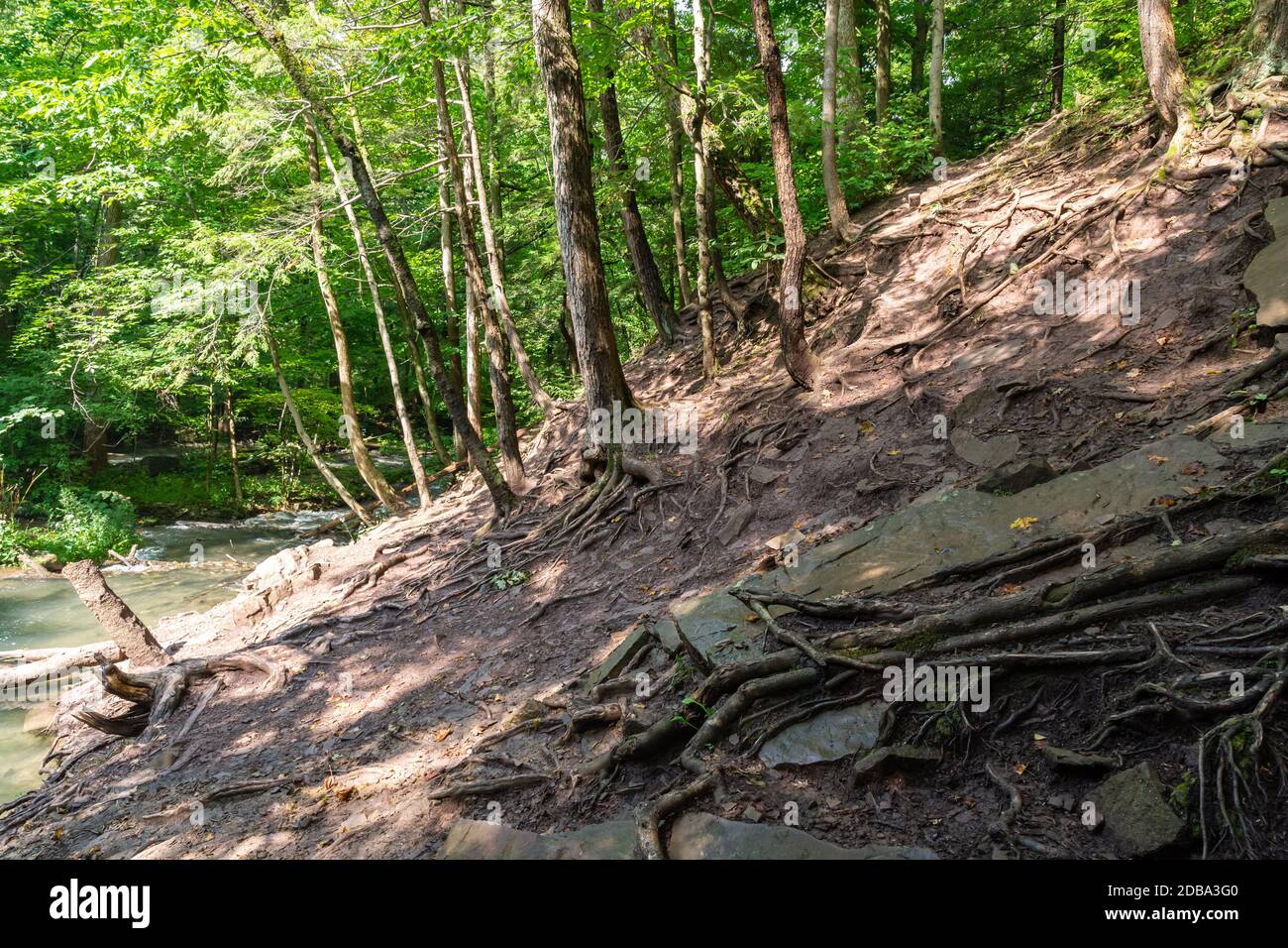 Escarpement Bruce Niagara Banque d'image et photos - Alamy