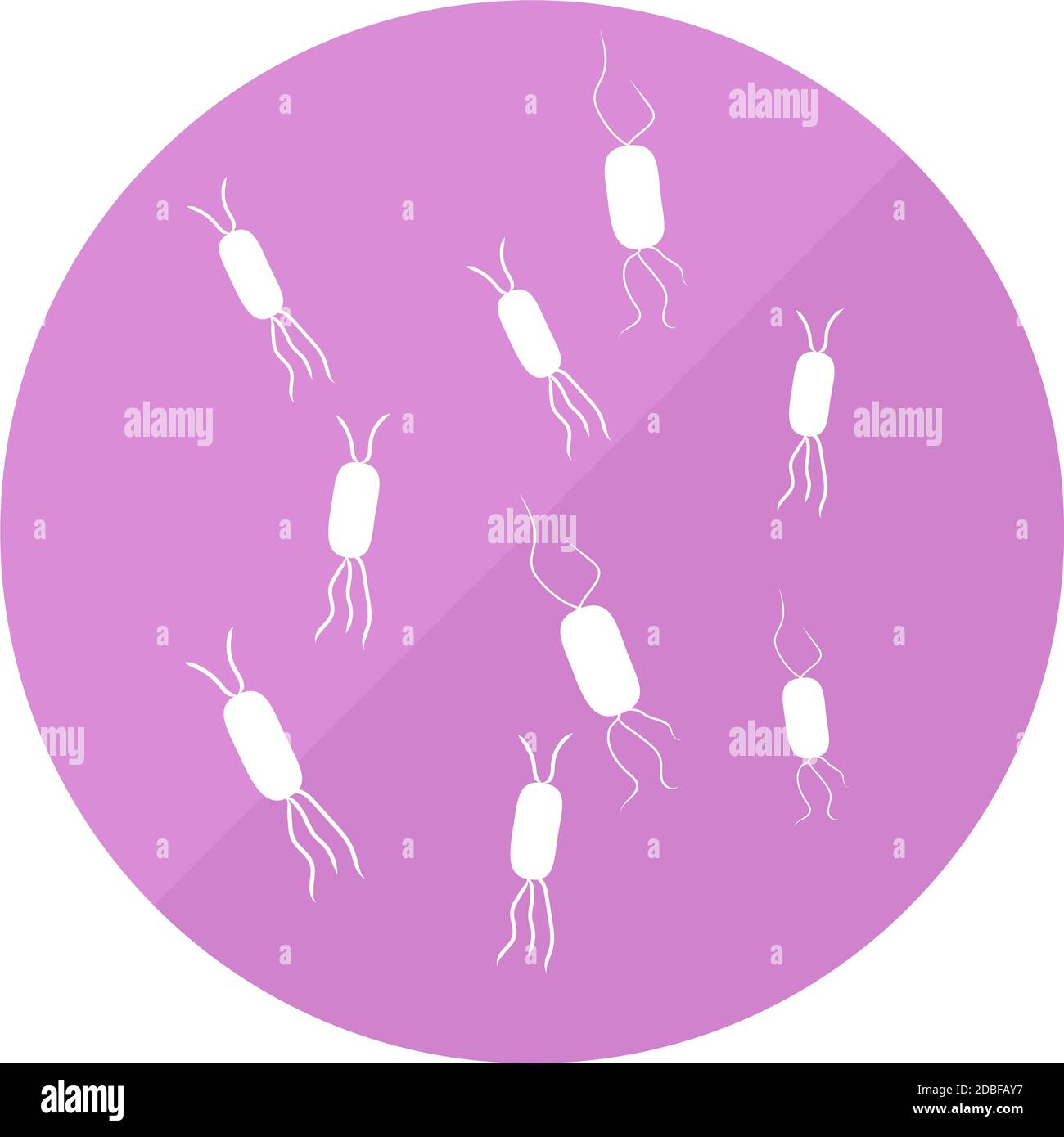 L'Escherichia coli gutbacteria la flore intestinale bactérienne icône ...