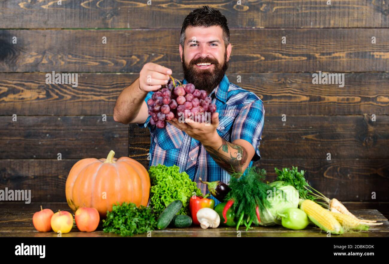 À partir de raisins propre jardin. Concept de l'agriculture ...