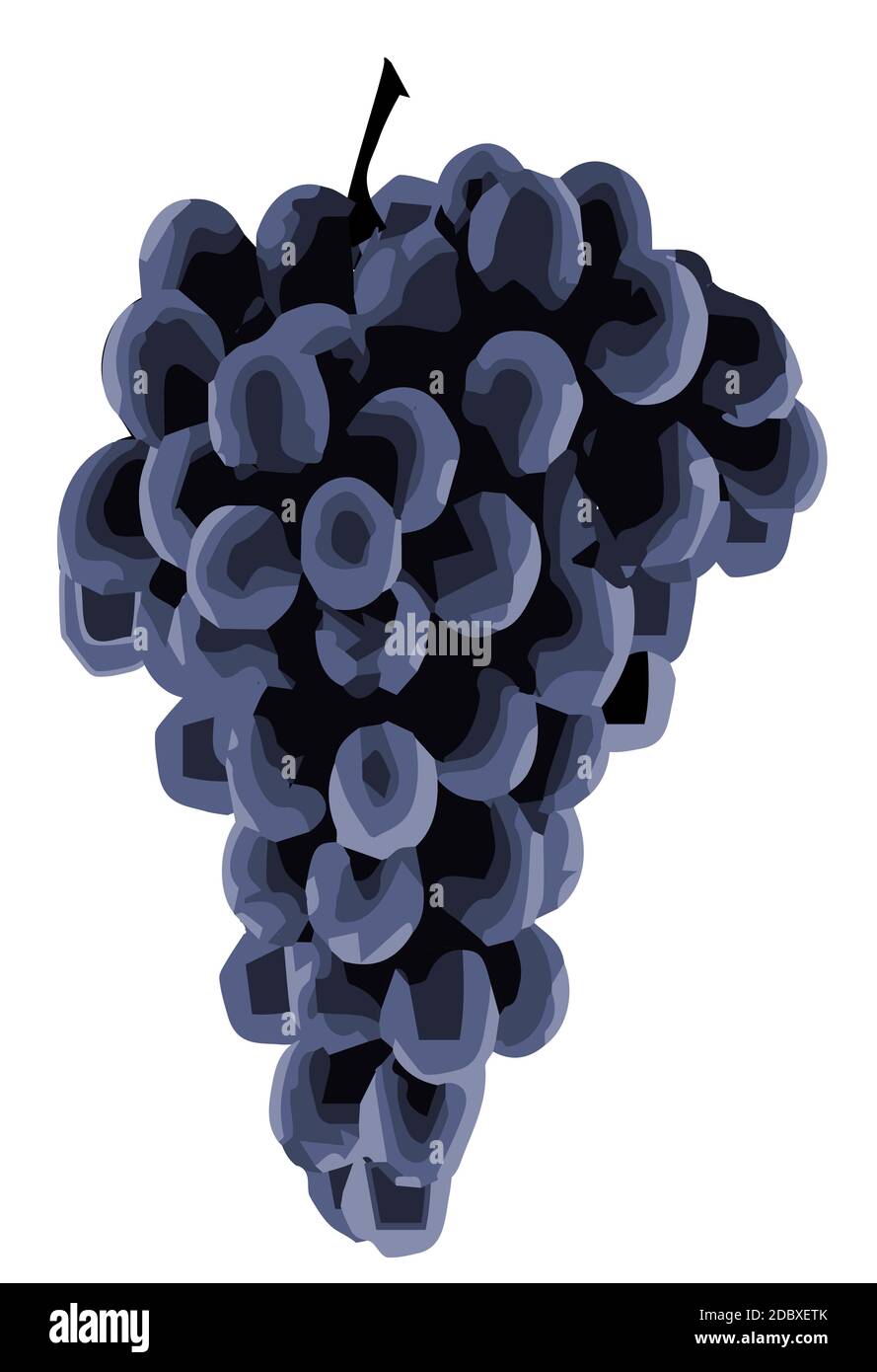 Dessin de grappe de raisin Banque de photographies et d’images à haute ...