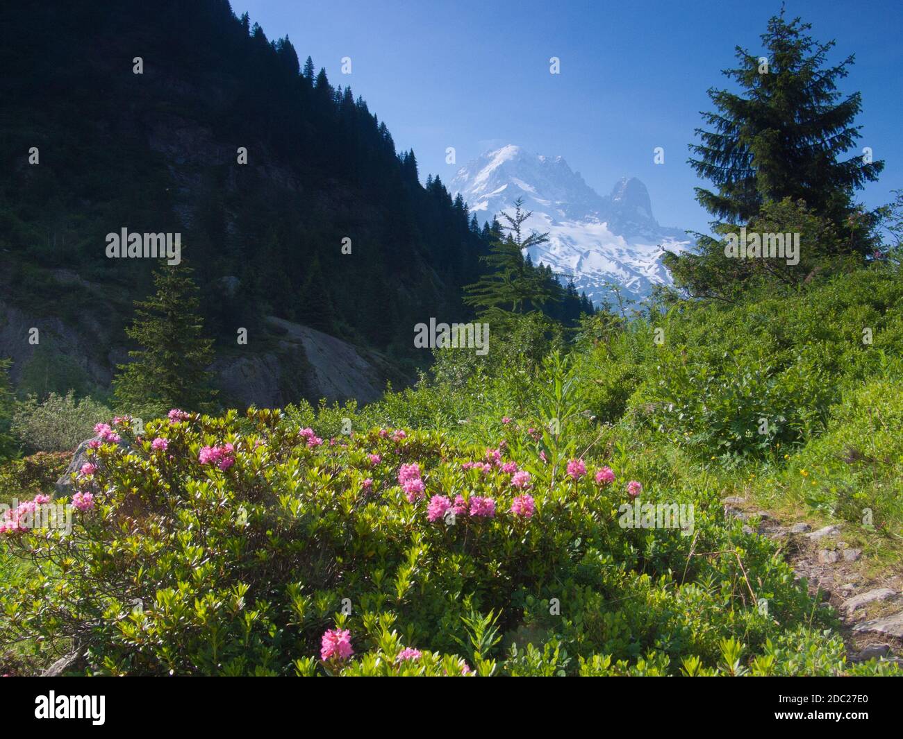 Col des montets Banque de photographies et d’images à haute résolution ...